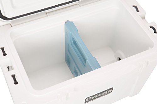 Grizzly IceDivider Ice Pack Cooler Divider, 4 lb - Want It All