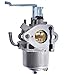 Amazon.com : waltyotur Generator Carburetor 279-62364-20 Carburetor ...