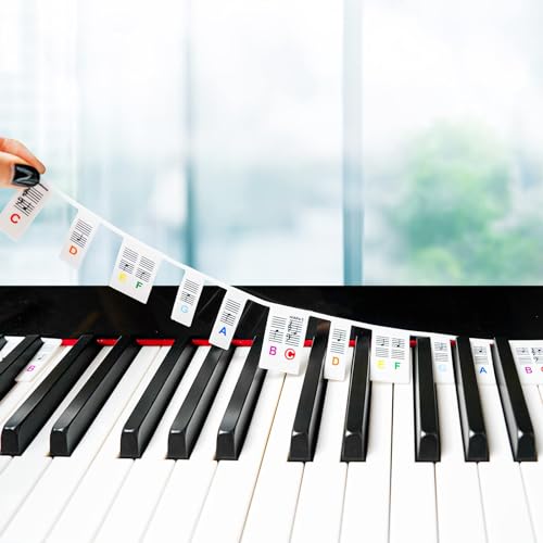 Piano Keyboard Label for Beginners, 88-Key Reusable Colorful Piano Key ...