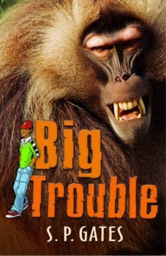 Big Trouble: Susan Gates: 9781842998373: Amazon.com: Books