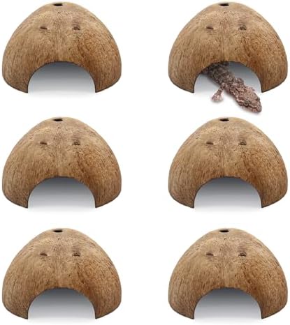 Amazon.com : PINVNBY Natural Coconut Reptile Hideouts Lizard Coco Hut ...
