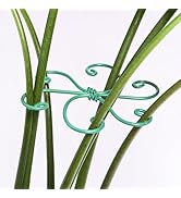 Amazon.com : YOHSNOR 5PCS Monstera Plant Support System 4.1IN - Durable ...