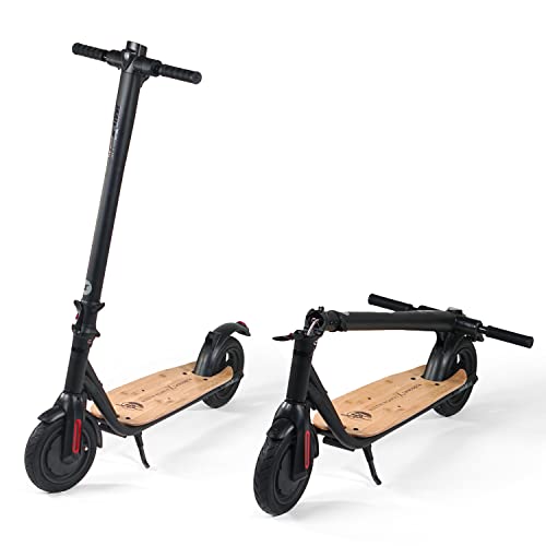 Top 10 Electric Scooter For Adults at Cornelia Priest blog
