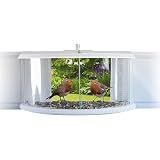 Panoramic In-House Window Bird Feeder With One-Way Mirror | The Green Head