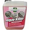 Mosgo Red & Green Algae & Moss Killer 5 Litre : Amazon.co.uk: Garden