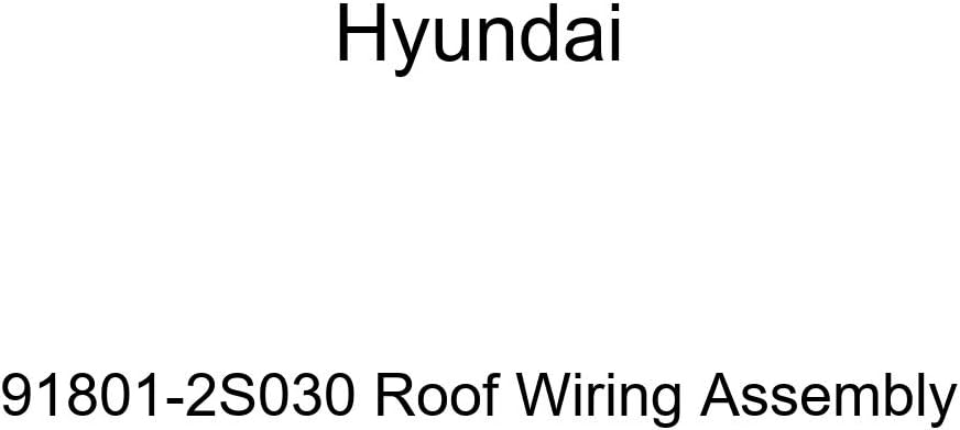 Amazon.com: Genuine Hyundai 91801-2S030 Roof Wiring Assembly : Automotive