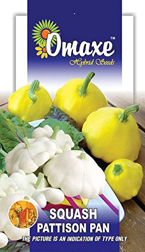 Kitchen Garden Hub Squash Pattison Pan Imported Exotic Seeds Kitchen ...