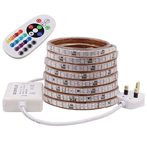 LED strips at 220V of 10 meters | LED Moment