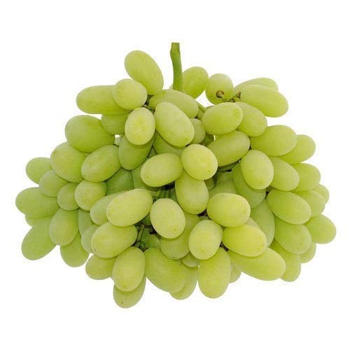 Fresh Grapes Green Seedless, 500 g : Amazon.in: Grocery & Gourmet Foods