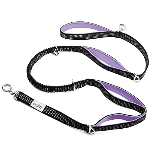 5 Best Hands Free Cross Body Dog Leashes For Hiking – Morning Hiker