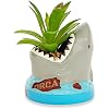 Amazon.com: Silver Buffalo Jaws Shark 4-Inch Ceramic Mini Planter with ...