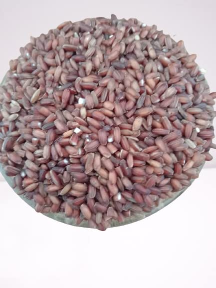 UZHAVAN UNAVU Traditional Soorakkuruvai Rice-1kg : Amazon.in: Grocery ...