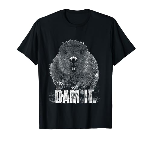 75 Hilarious Jokes About Beavers That Will Leave You Dam Happy ...