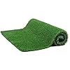 Yazlyn Collection Polyester Blend High Density Artificial Grass Carpet ...