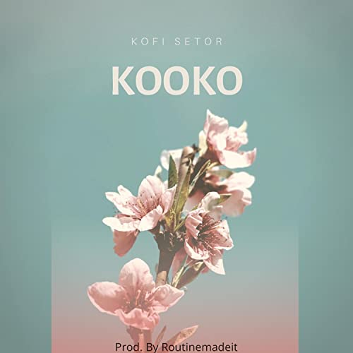 Kooko – Die 15 besten Produkte im Vergleich - Hausbauberater Ratgeber