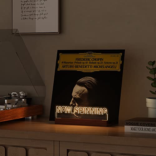 Ammonite Light up Now Spinning Vinyl Record Stand, Now Playing Record ...