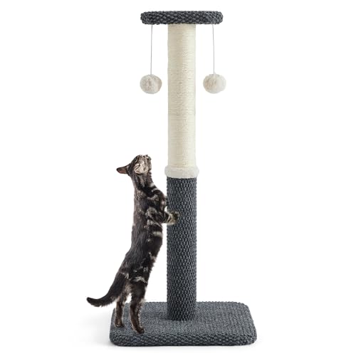 Tall Cat Scratching Post – The 15 best products compared - Wild Explained
