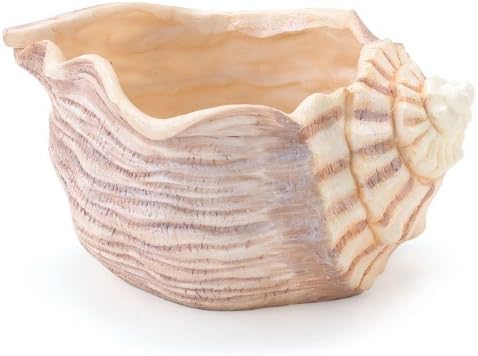 Amazon.com: Beautiful Seashell Planter/Vase Great Beach Decor