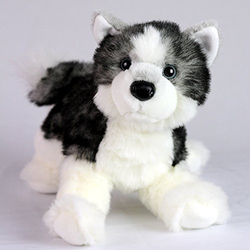 Can A Dog Have Memory Loss