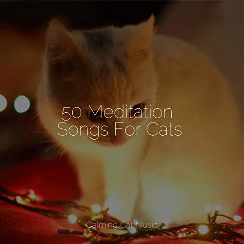 Amazon MusicでMusic for Cats Peace, Calm Music for Cats & Official Pet ...