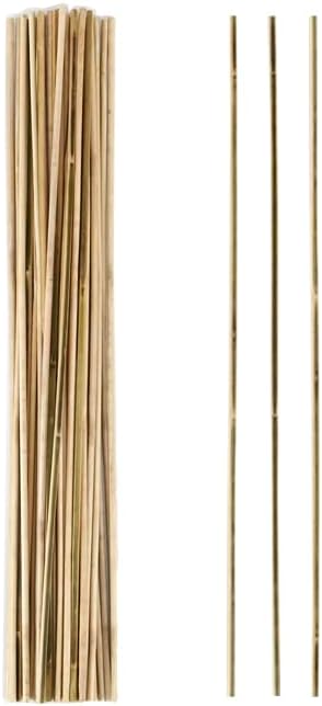 20Pcs 2 Feet 24 Inch Bamboo Support Sticks for Plant Stem Support ...