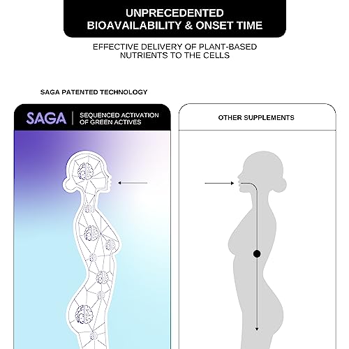 SAGA Product Guide: 15 Best Things to Buy from SAGA (Apr. 2024) - Cherry Picks