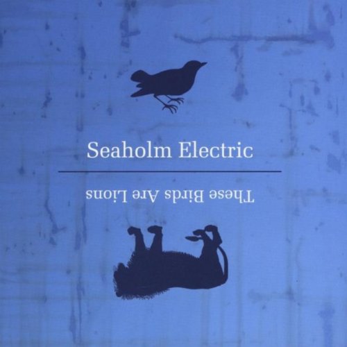 Amazon.com: These Birds Are Lions : Seaholm Electric: Digital Music