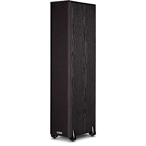 The 30 Best Polk Audio Floorstanding Speakers of 2026 [Verified ...