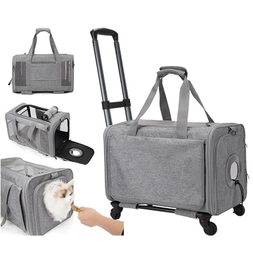 Amazon Best Sellers: Best Cat Hard-Sided Carriers