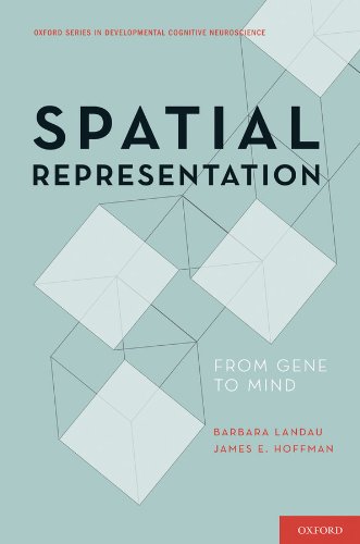 Spatial Representation: From Gene to Mind (Developmental Cognitive ...