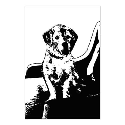 Amazon.com: Baxter Anchorman Dog Movie Poster : Home & Kitchen