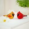 Amazon.com: INF-STAR 2PCS Small Wood Male and Female Northern Cardinal ...