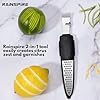 Amazon.com: Rainspire Lemon Zester Tool with Channel Knife, Stainless ...