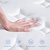 Amazon.com: Dourxi Twin Size Mattress, 12 Inch Medium Plush Hybrid Twin ...