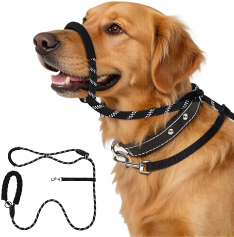 Figure of 8 Dog Lead for Large/Medium Dog, Anti Pull Dog Lead ...