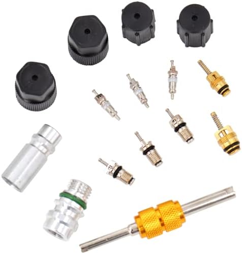 Amazon.com: Mobling Air Conditioning Valve Core Kit [15 Pcs] | for R12 ...