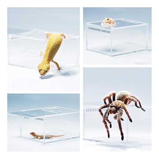 2 Pack Acrylic Reptile Terrarium Insect Tarantula Enclosure Tank Snail ...