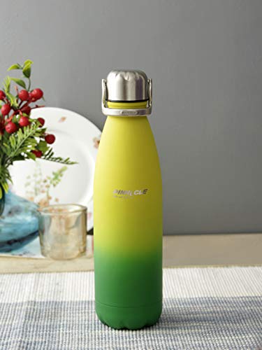 Pinnacle Paradise Vacushield Stainless Steel Hot & Cold Bottle, 500 ML ...