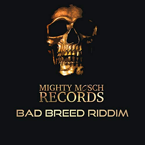 Bad Breed Riddim de VARIOUS ARTISTS en Amazon Music Unlimited