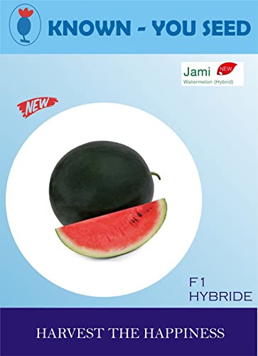 jami watermelon fruit f1 hybrid known you seeds 10 gram : Amazon.in ...