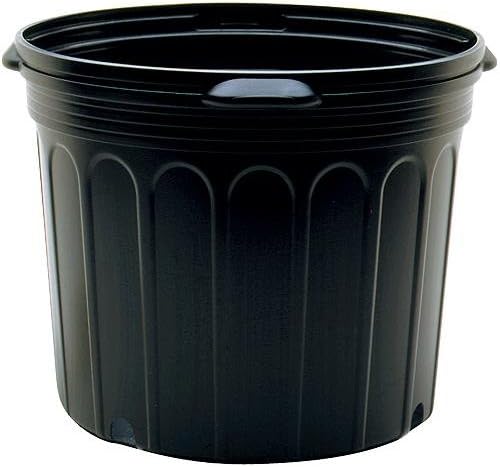 Amazon.com: NSI Blow Molded Nursery Containers, Trade Size: 7 Squat (6. ...