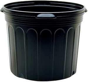 Amazon.com: NSI Blow Molded Nursery Containers, Trade Size: 7 Squat (6. ...