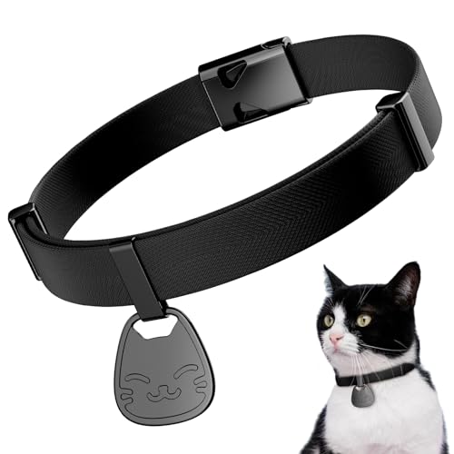 Breakaway Collars – The 15 best products compared - Wild Explained