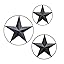 Amazon.com: JoyEvy 48" Large Barn Star-Black Barn Star Outdoor ...