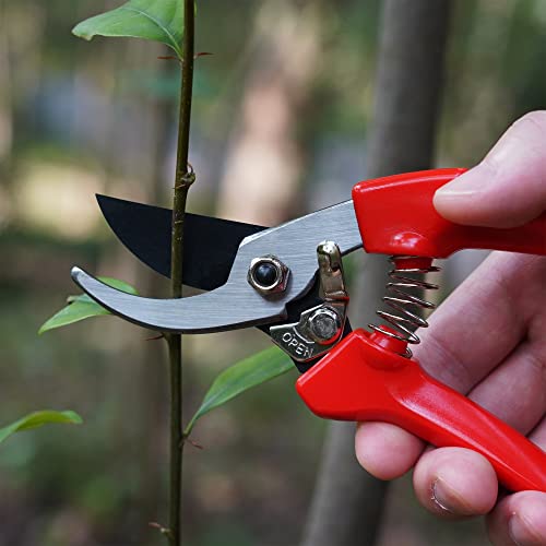 Snapklik.com : BUGUI Pruning Shears Garden Shears - Premium Alloy Steel ...