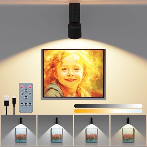 VIVIDALUX 10W LED Picture Light,Adjustable Brightness and Color ...