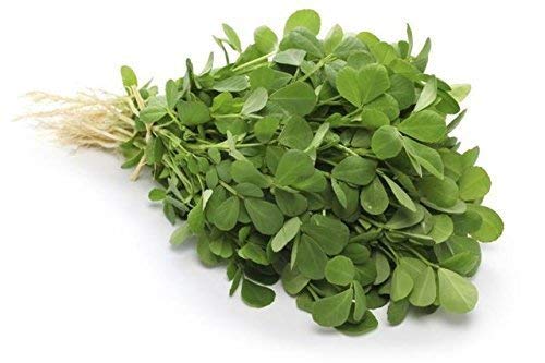 LIVE GREEN Fenugreek (Methi Saag) Organic F1 Hybrid Seeds with ...