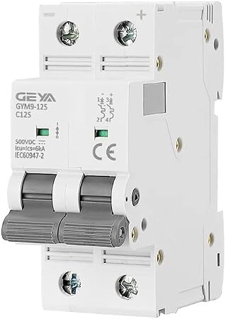 Amazon.com: PLKXSEYUJ Circuit Breaker DC MCB 80A 100A 125A 6KA 2p ...