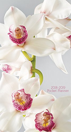 Simplicity 2018 Pocket Planner: Trends International: 9781438851945 ...