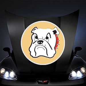 Amazon.com: Air Force USAF USAAF 313th Fighter Squadron SSI 20" Huge ...